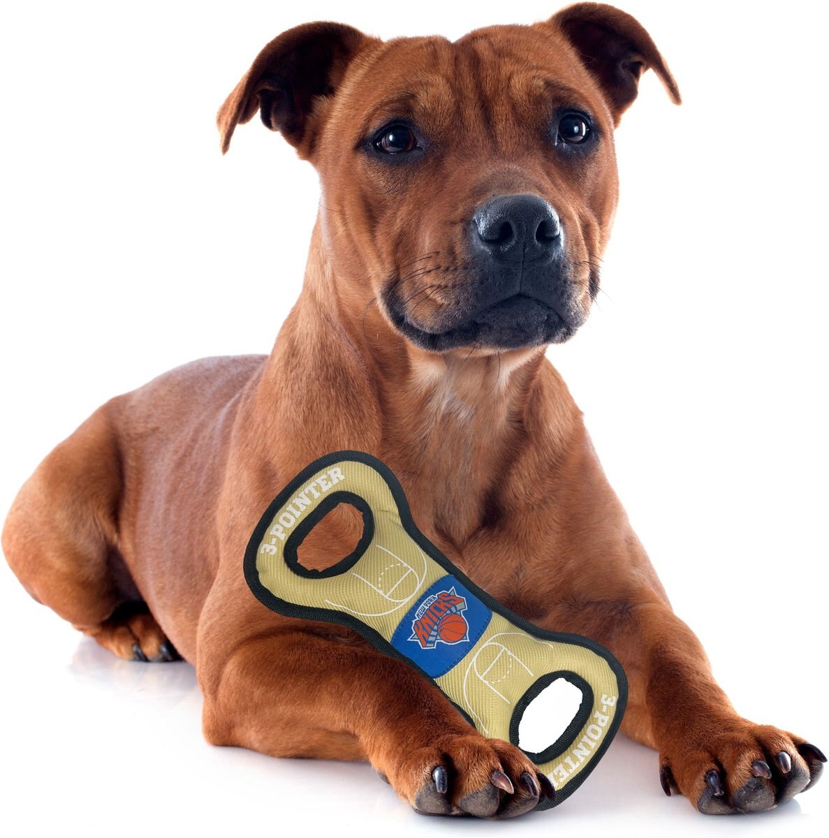 Out of Stock - PETS FIRST Nylon Court Tough Squeaky Dog Chew Toy, New ...