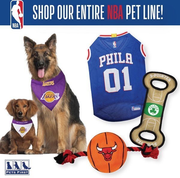 PETS FIRST Nylon Basketball Tough Squeaky Plush Dog Chew Toy, San ...