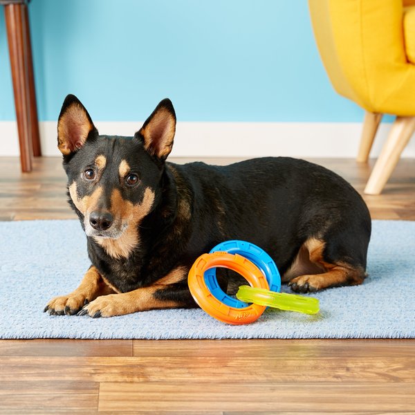 NERF DOG Tuff Tug 3 Ring Dog Toy, Large - Chewy.com