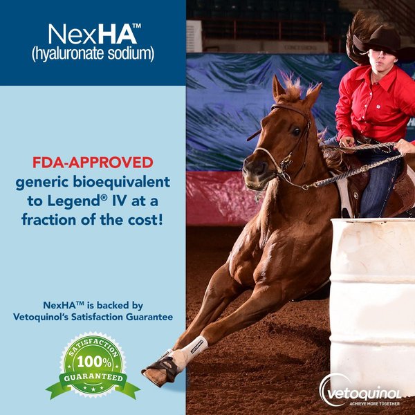 NEXHA Hyaluronate Sodium (Generic) Injectable Solution for Horses, 10mg ...