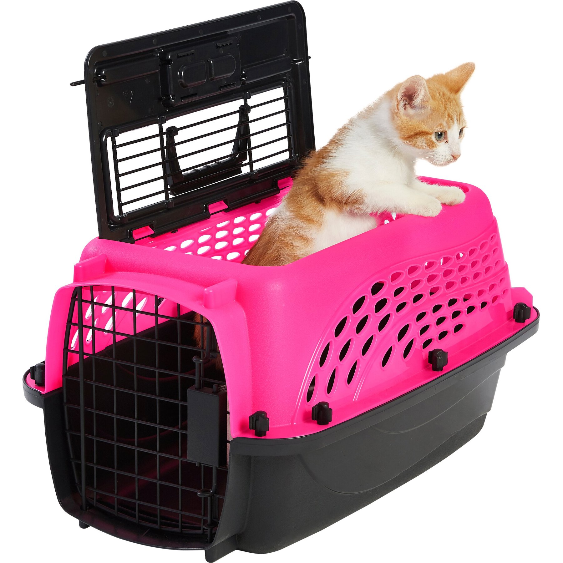 FRISCO Two Door Top Load Plastic Dog & Cat Kennel, Pink, 19-in - Chewy.com