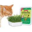 MIRACLE CARE Cat A'bout Herbs & Spices Cat Grass Plus, 5.25-oz ...