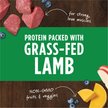 INSTINCT Raw Boost Mixers Lamb Recipe Grain-Free Freeze-Dried Dog Food ...