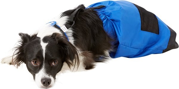 Temporarily Unavailable - WALKIN PETS Dog Drag Bag, Medium - Chewy.com
