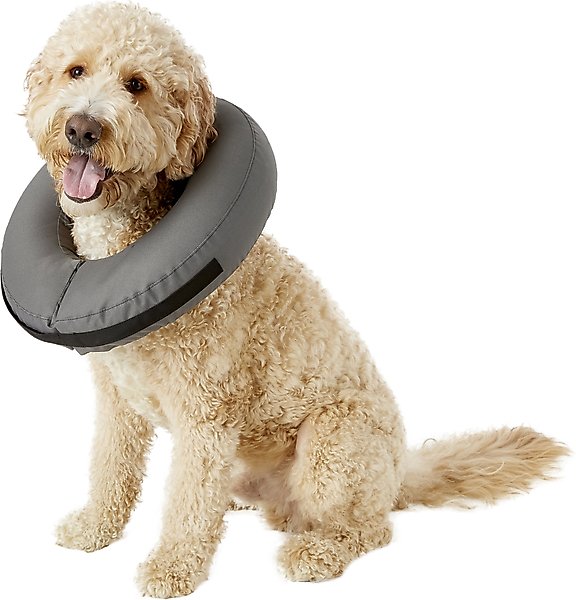 ZenPet ZenCollar Inflatable Recovery Dog & Cat Collar (Free Shipping ...