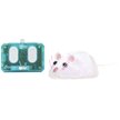 HEXBUG Remote Control Mouse Cat Toy, Color Varies - Chewy.com
