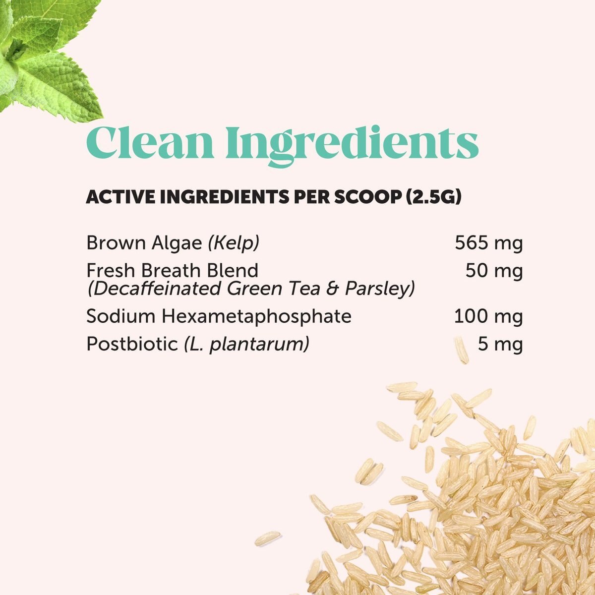 New Version Available - PET HONESTY Fresh Breath Mint Flavored Teeth ...