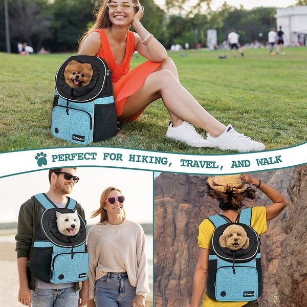 PETAMI Airline Approved Front Chest Small Dog & Cat Backpack Carrier, Teal Blue, Large - Chewy.com