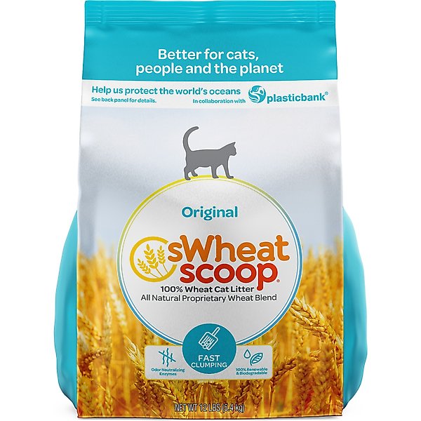 SWHEAT SCOOP Multi-Cat Natural Clumping Wheat Cat Litter, 12-lb bag ...