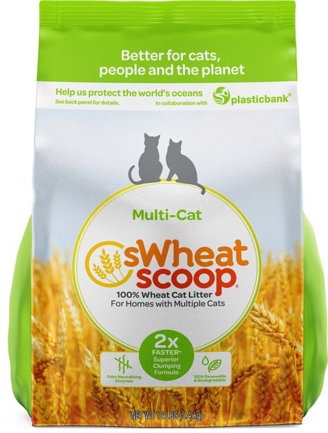 SWHEAT SCOOP Multi-Cat Unscented Natural Clumping Wheat Cat Litter, 12 ...