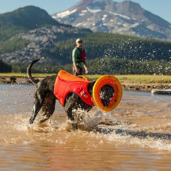 RUFFWEAR Float Coat Dog Life Jacket, Red Sumac, Small - Chewy.com