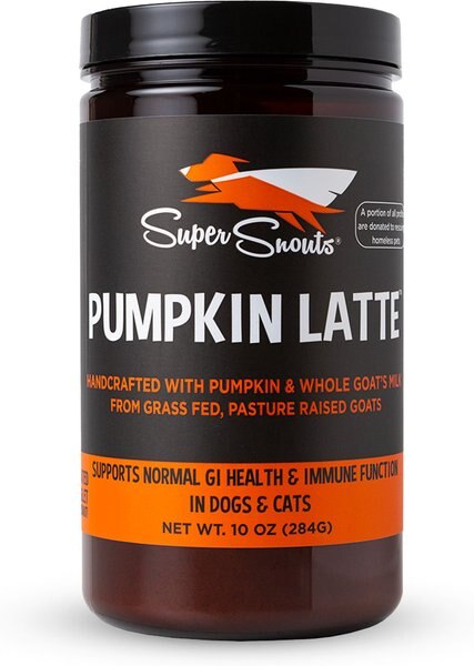 SUPER SNOUTS Pumpkin Latte Dog & Cat Digestive Supplement, 10-oz jar ...