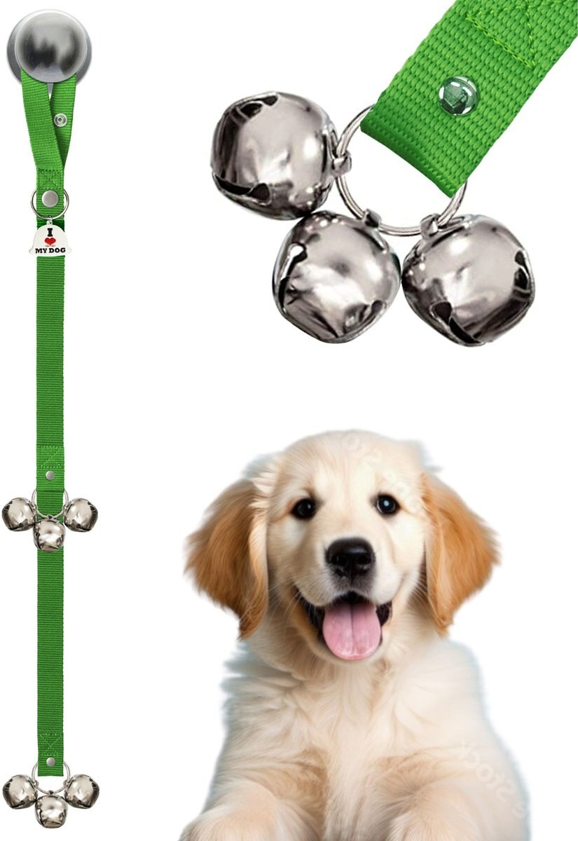 CALDWELL'S Potty Bells Original Dog Doorbell, Green - Chewy.com