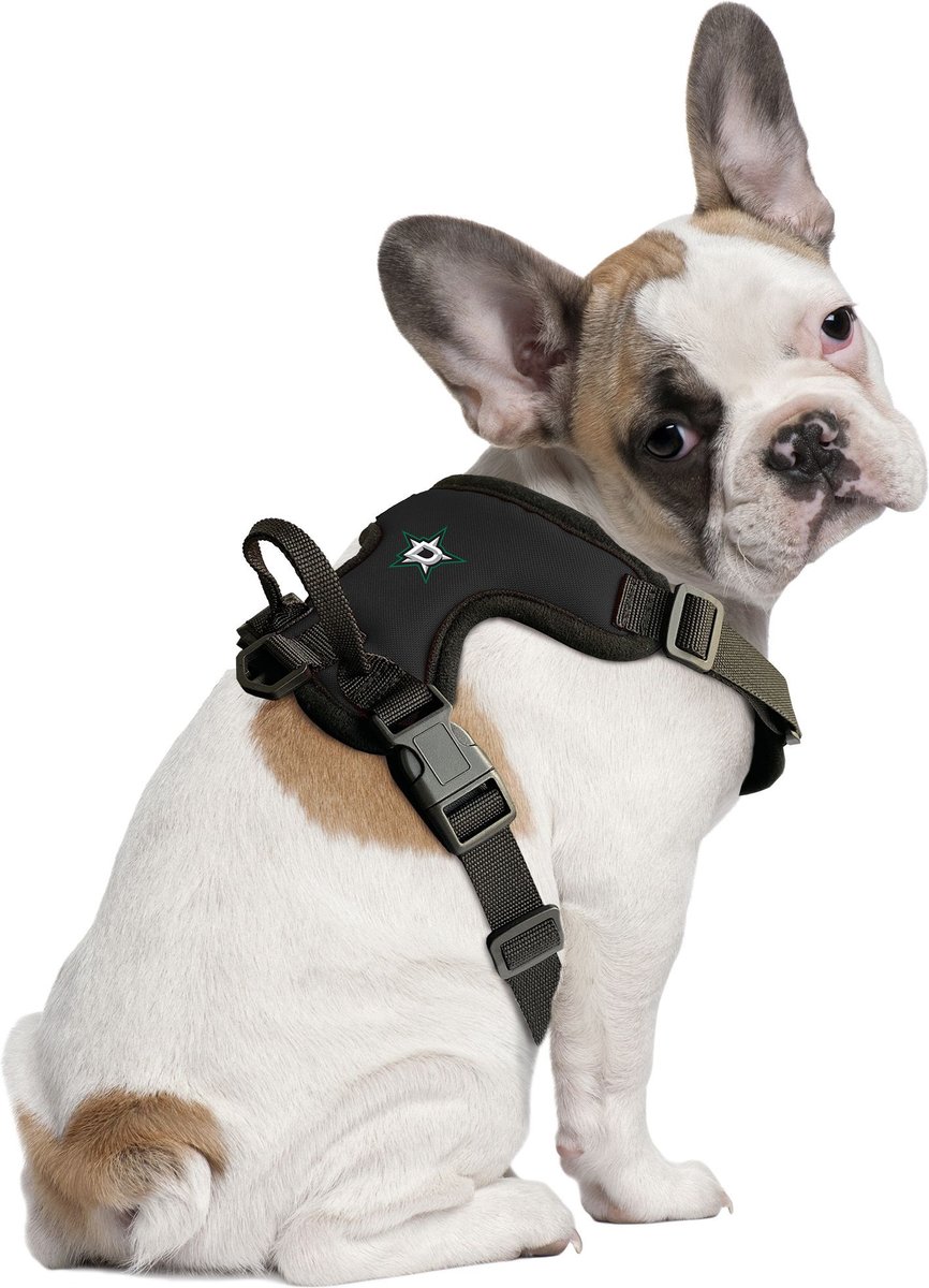 LITTLEARTH NHL Front Clip Dog Harness, Dallas Stars, X-Small - Chewy.com