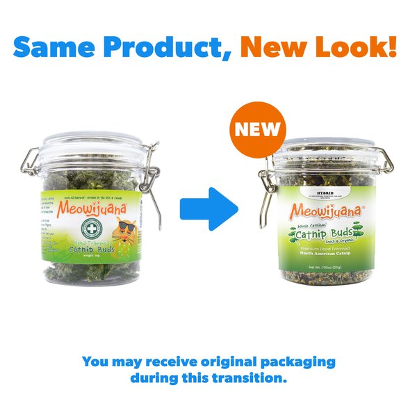 MEOWIJUANA Jar of Organic Catnibas Catnip Buds, 20-g jar - Chewy.com