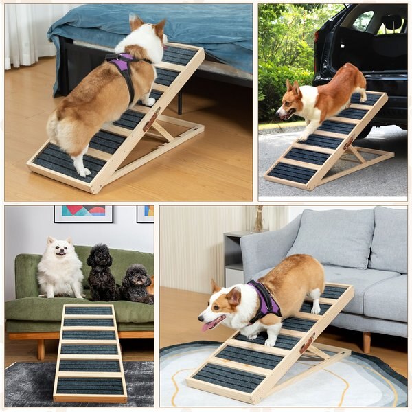 COZIWOW 38-in Adjustable Height Wooden Dog Ramp, Gray - Chewy.com