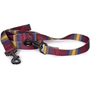 PENDLETON National Park Adventure Polyester Adjustable Dog Leash, Zion ...