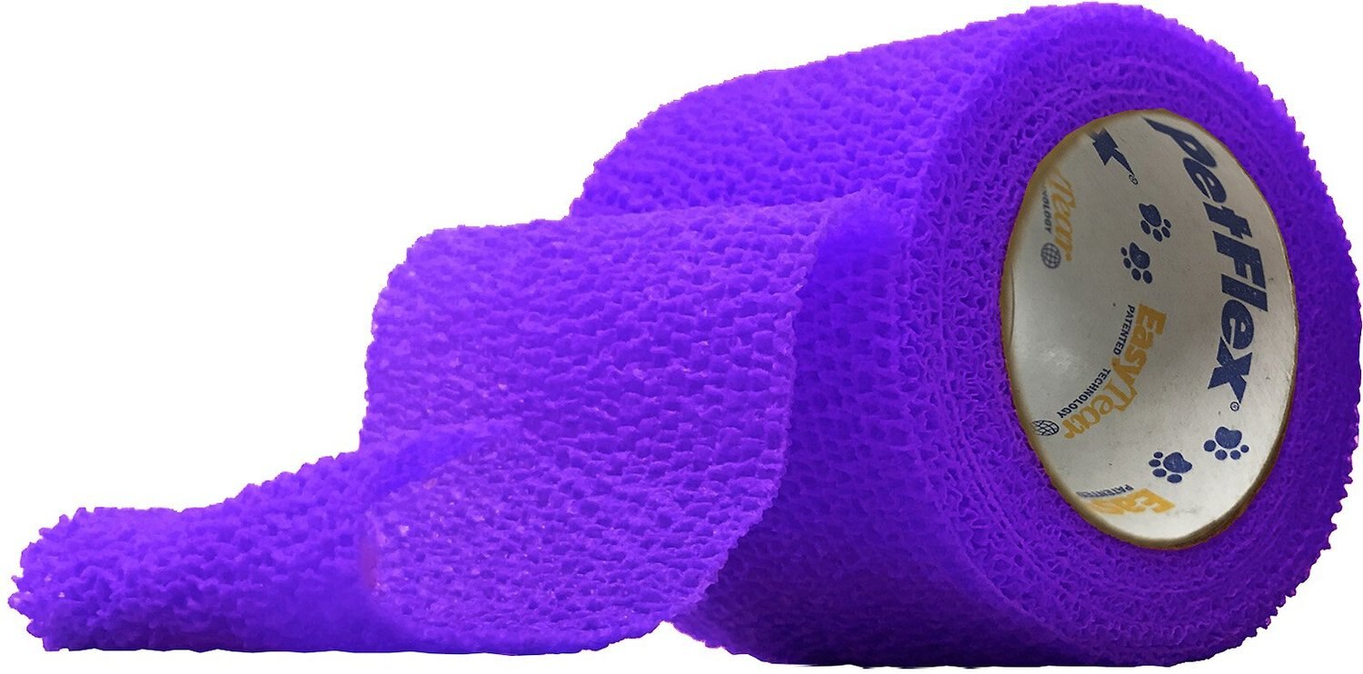 ANDOVER HEALTHCARE PetFlex Dog, Cat & Small Animal Bandage, Purple, 2 ...