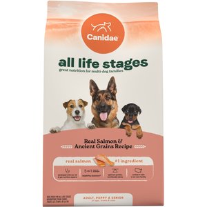 CANIDAE All Life Stages Real Salmon & Ancient Grains Recipe Dry Dog ...
