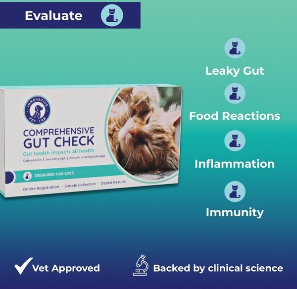 INNOVATIVE PET LAB Comprehensive Gut Check Test Kit for Cats - Chewy.com