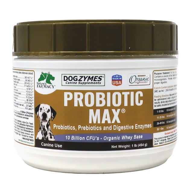 NATURE'S FARMACY Dogzymes Probiotic Max Dog Supplement, 1-lb jar ...