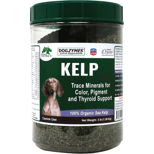 NATURE'S FARMACY Dogzymes Norwegian Kelp Dog Supplement, 3-lb jar ...