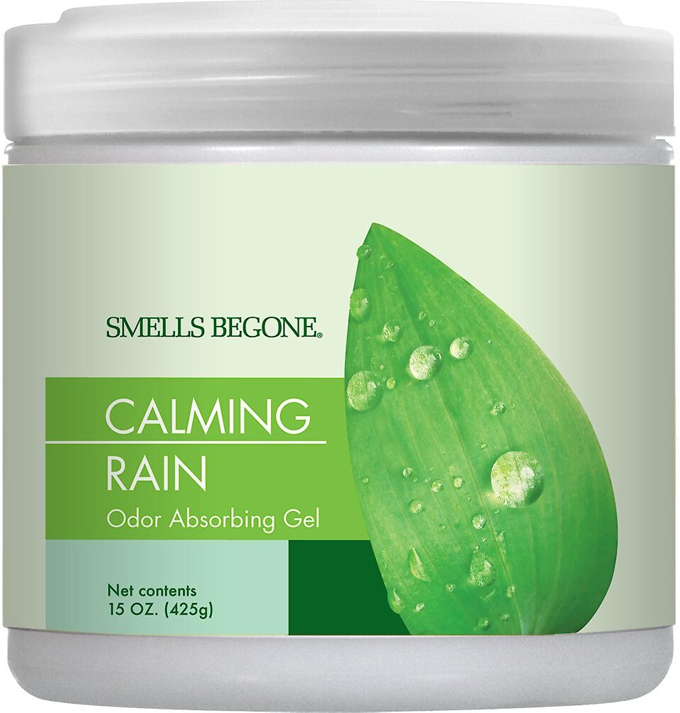 SMELLS BEGONE Calming Rain Odor Absorbing Solid Gel, 15-oz jar - Chewy.com