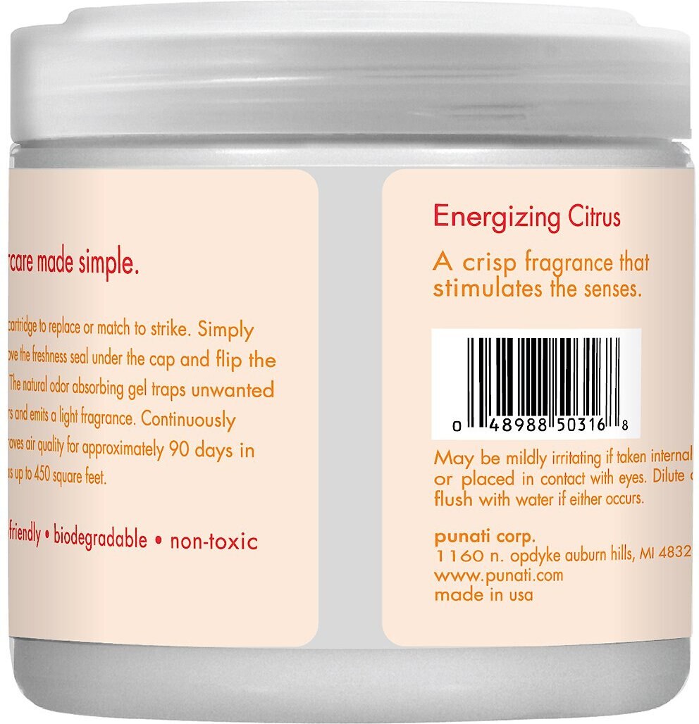 SMELLS BEGONE Energizing Citrus Odor Absorbing Solid Gel, 15-fl oz jar ...