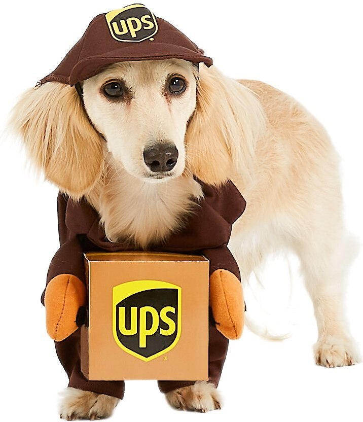 CALIFORNIA COSTUMES UPS Delivery Driver Dog & Cat Costume, X-Small ...