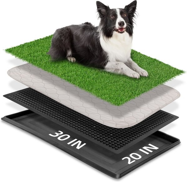 COZIWOW Washable Puppy Pee Turf Grass Pad, 30 x 20-in - Chewy.com