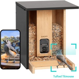 BIRDFY Solar Powered Bamboo Smart Bird Feeder with Motion Detection ...