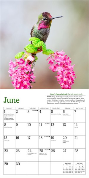 Discontinued - AUDUBON Hummingbirds Mini 2025 Wall Calendar - Chewy.com