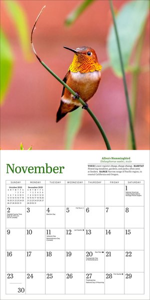 Discontinued - AUDUBON Hummingbirds Mini 2025 Wall Calendar - Chewy.com