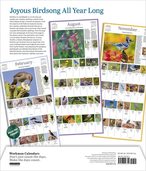 Out of Stock - AUDUBON Songbirds & Other Backyard Birds Picture-A-Day ...