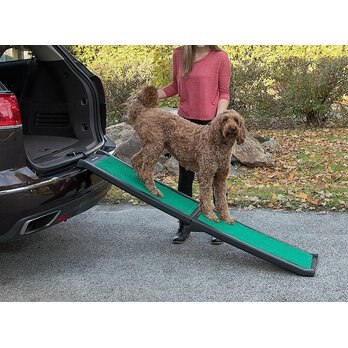 LARGE BREEDS DOG STEPS, STAIRS & RAMPS (Free Shipping) | Chewy