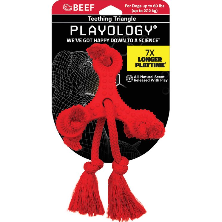 Puppy Toys - Page 4 (Free Shipping) | Chewy