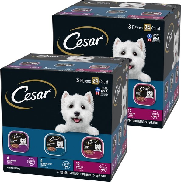 CESAR Filets in Gravy Beef Flavors Variety Pack Small Breed Adult Wet ...