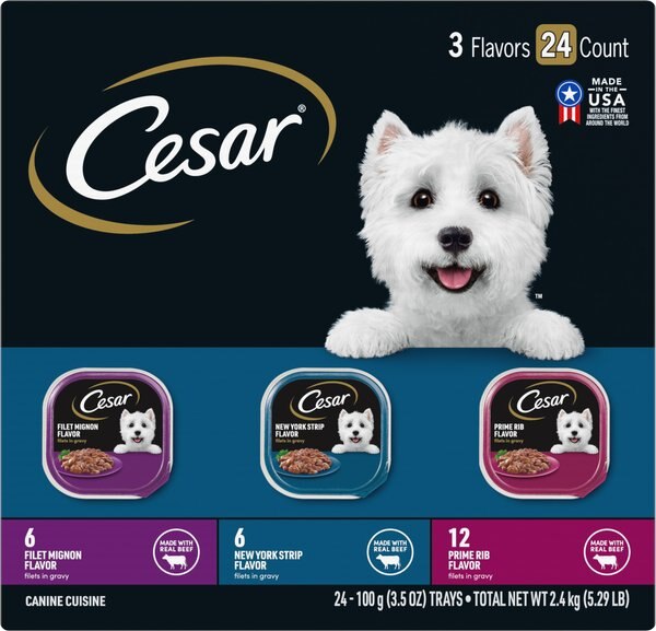 CESAR Filets in Gravy Beef Flavors Variety Pack Small Breed Adult Wet ...