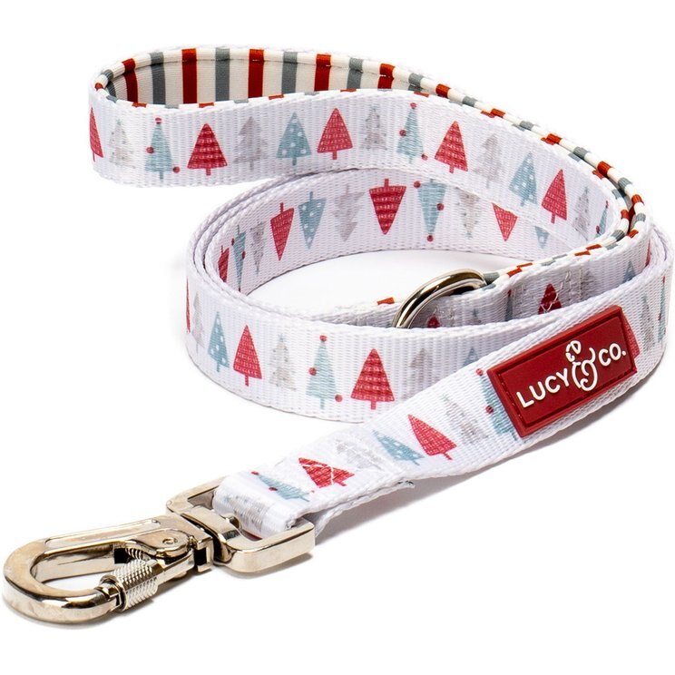 DOG LEASHES FOR SMALL DOGS (Free Shipping) | Chewy
