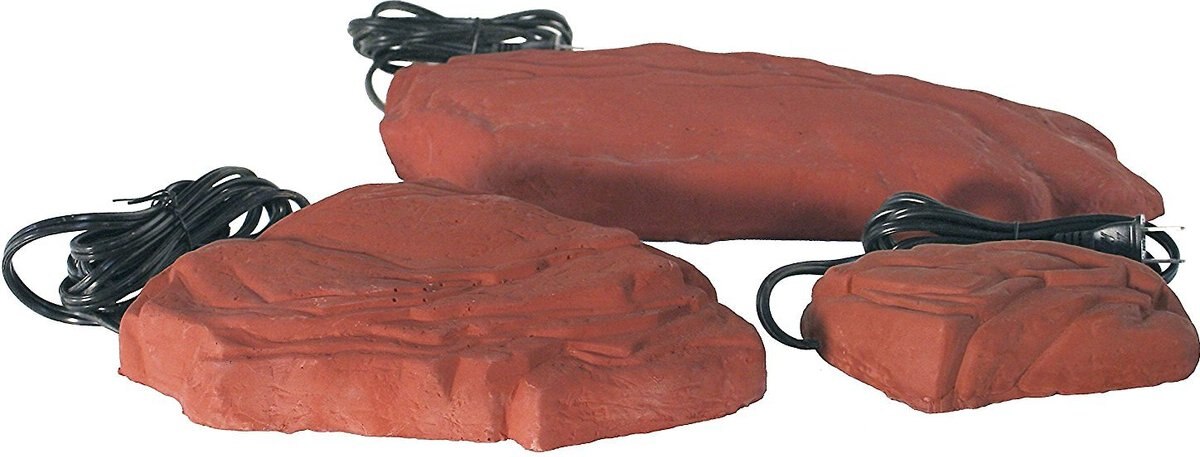 ZOO MED Repticare Rock Heater - Chewy.com