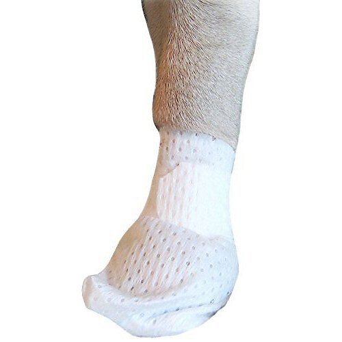 PAWFLEX MediMitt Disposable Dog Bandage, 4 count, Large - Chewy.com