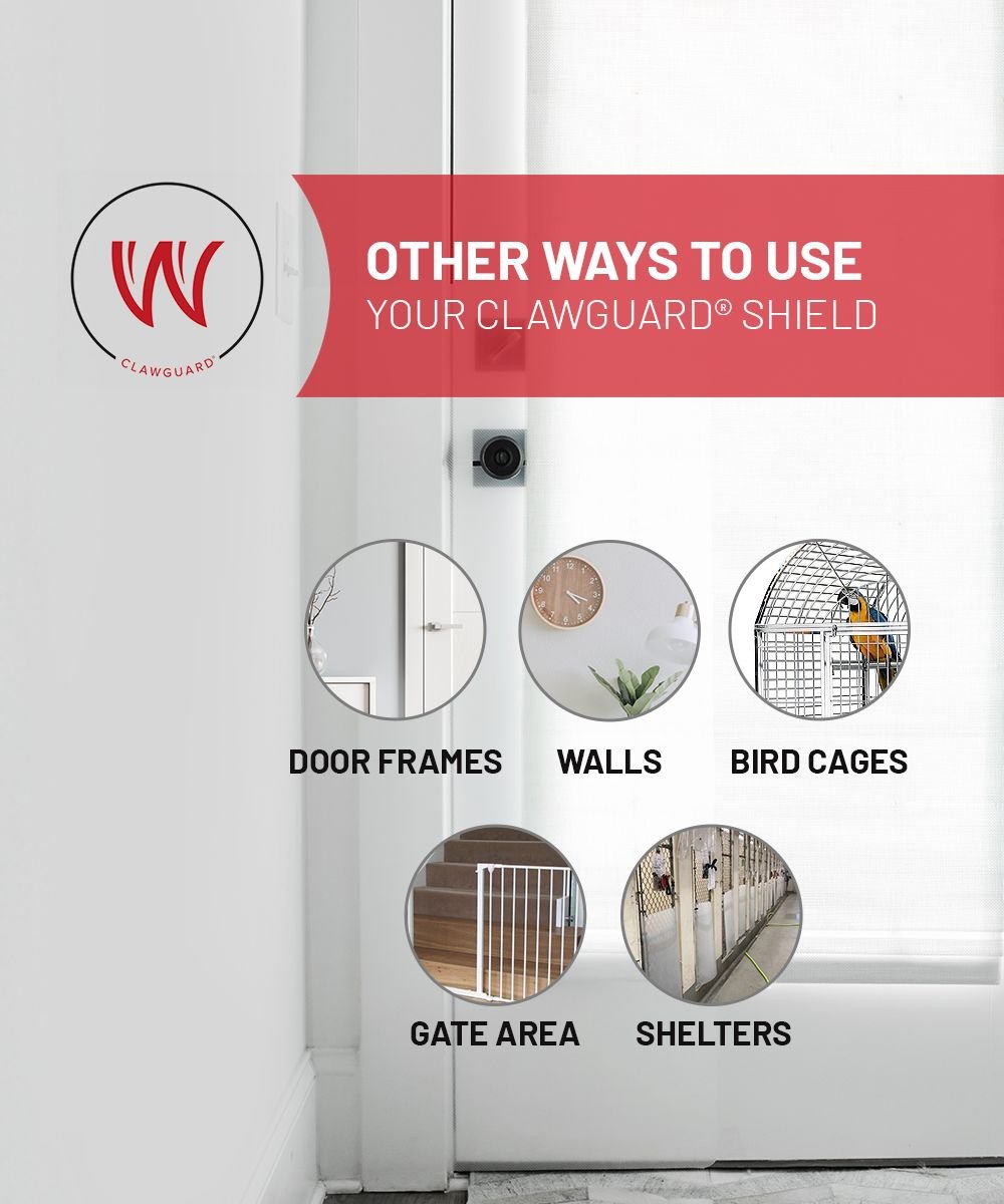 CLAWGUARD Original Door Scratch Shield, 43 x 18 in - Chewy.com