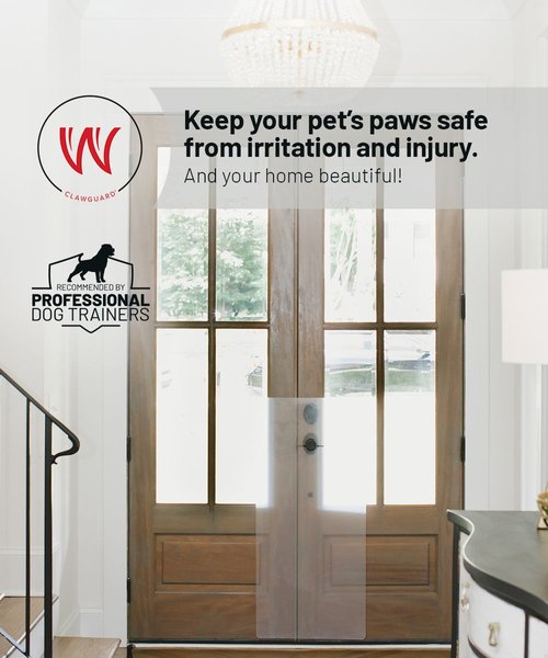 CLAWGUARD Heavy Duty Door Scratch Shield, 44 x 20 in - Chewy.com