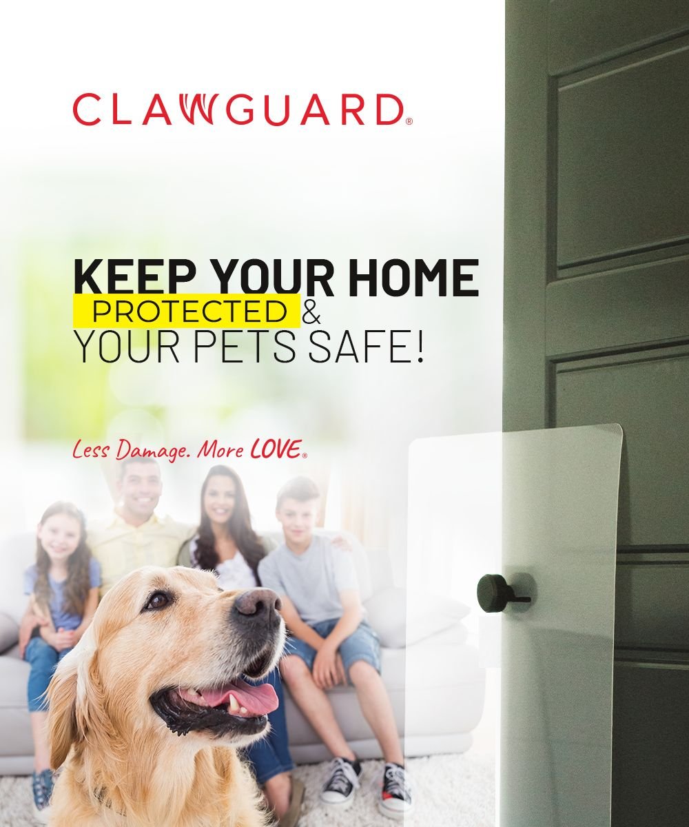 CLAWGUARD Heavy Duty Door Scratch Shield, 44 x 20 in - Chewy.com
