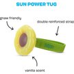 BARK Sun Power Tug Tough Dog Rope Tug Toy - Chewy.com