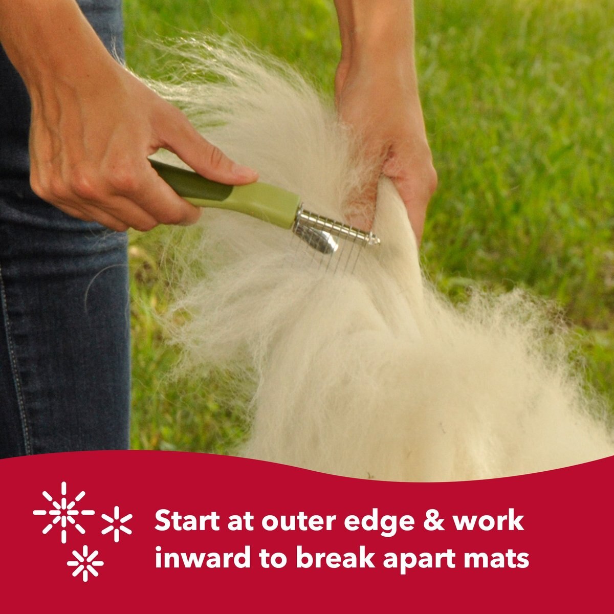 SAFARI De-Matting Dog Comb - Chewy.com