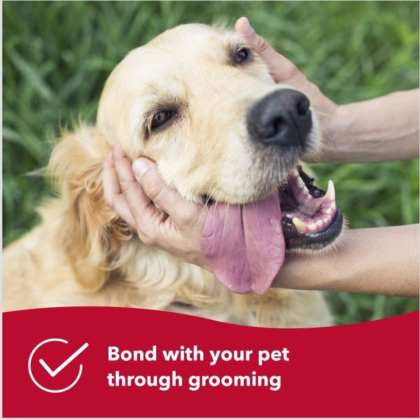 SAFARI Dual-Sided Shedding Blade Dog Grooming Tool - Chewy.com