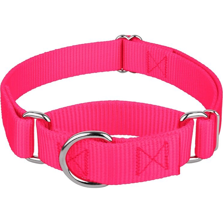 PINK DOG COLLARS (Free Shipping) | Chewy