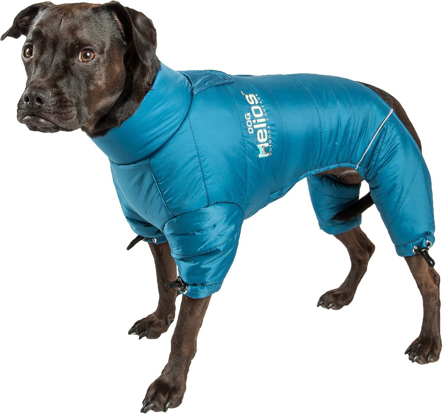 DOG HELIOS Thunder Full-Body Dog Jacket, Blue, Medium - Chewy.com