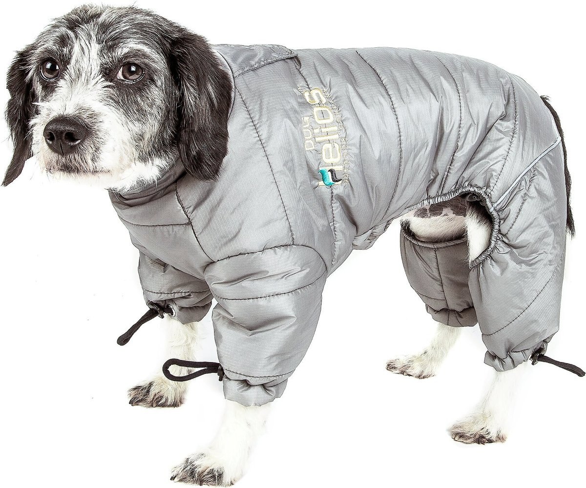 DOG HELIOS Thunder Full-Body Dog Jacket, Gray, Small - Chewy.com